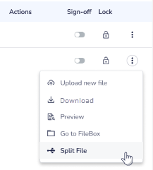 Workflow Overview – DataRails